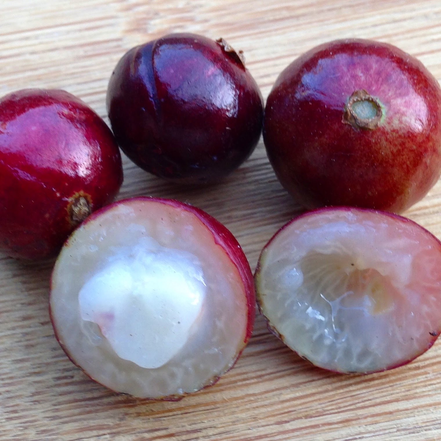 Fruit trees – Florida Bamboo & Fruit Trees
